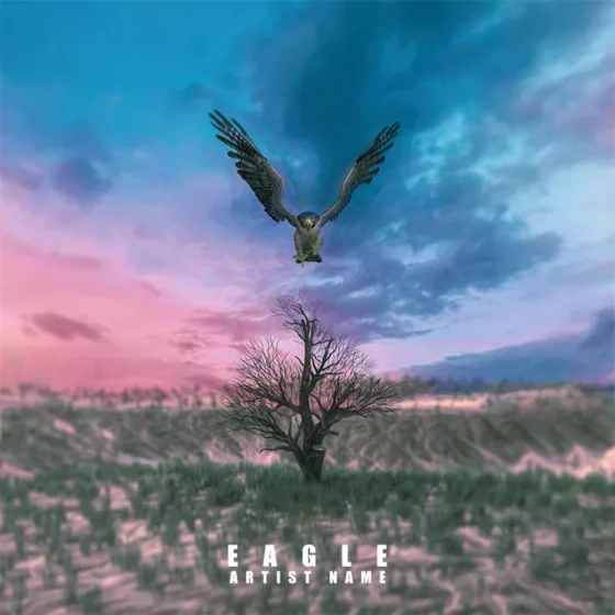 Eagle Album Cover Art Design – CoverArtworks